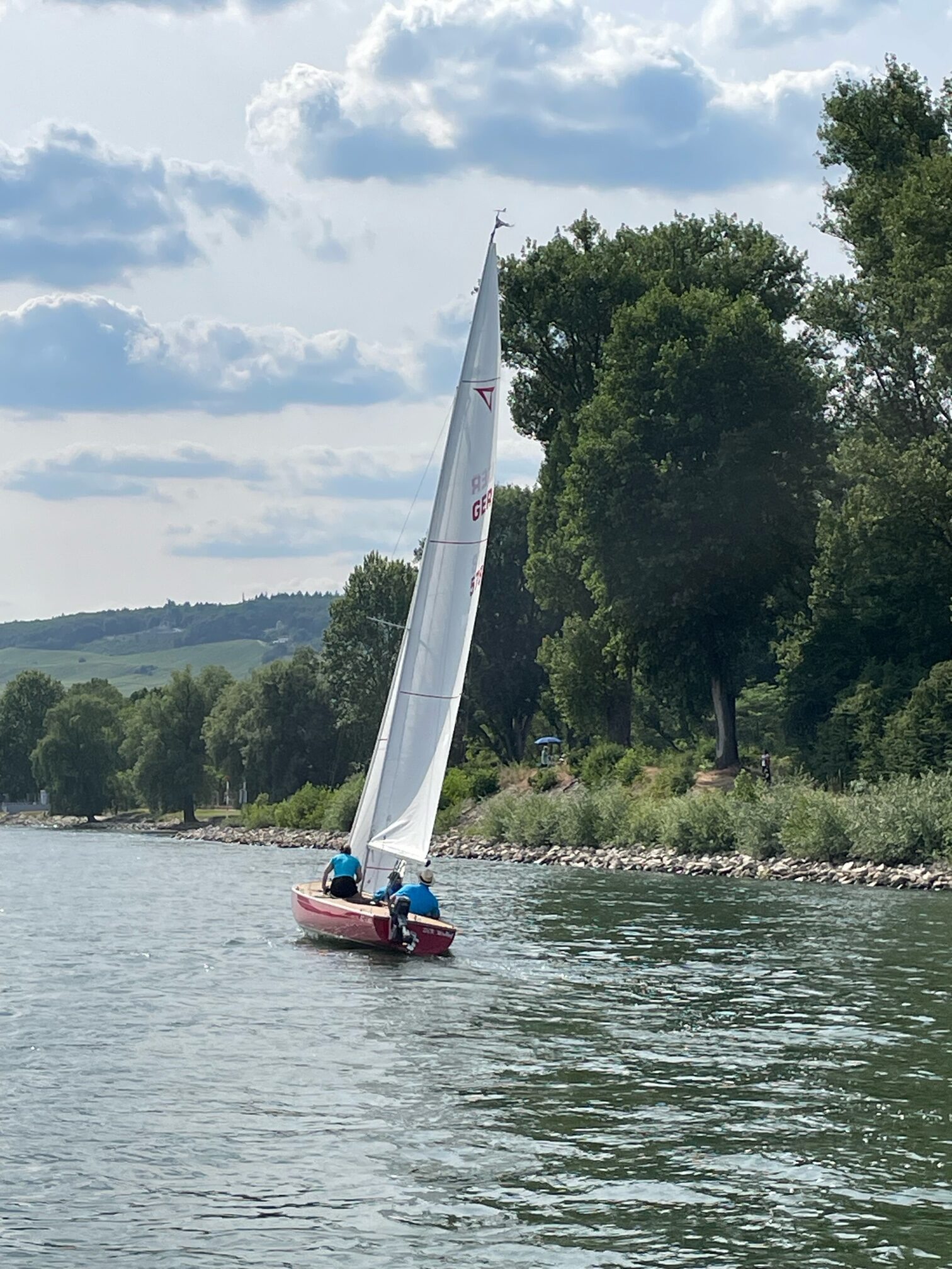 FUN-Segel-Regatta von Walluf nach Rüdesheim mit über 40 Schiffen ...